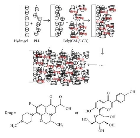 A Schematic Illustration To Show Self Assembly Process Of