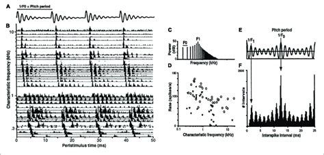 Temporal Coding Of Pitch And Timbre Vowel Quality In The Auditory Download Scientific