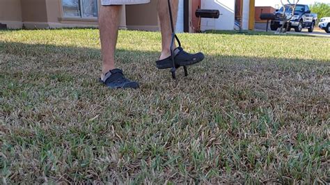 Easy Ways To Revive St Augustine Grass Global Ideas