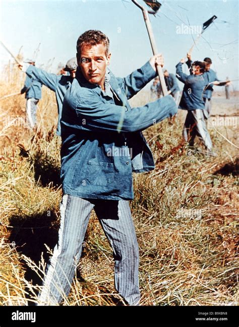 Coole Hand Luke Cast