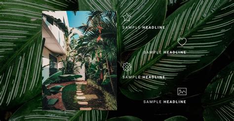 Jungle Life Html Code Example By Nicepage