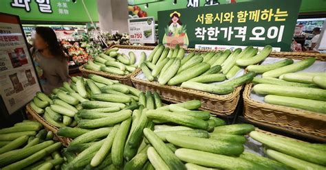 서울시·롯데마트 오이 3만개 할인 판매