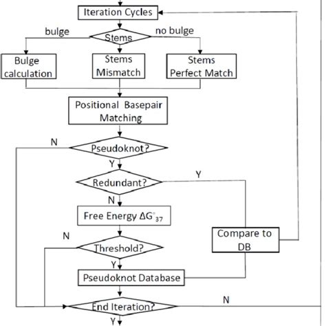 Workflow Of The Pkscan Pseudoknot Identification Program Download Scientific Diagram