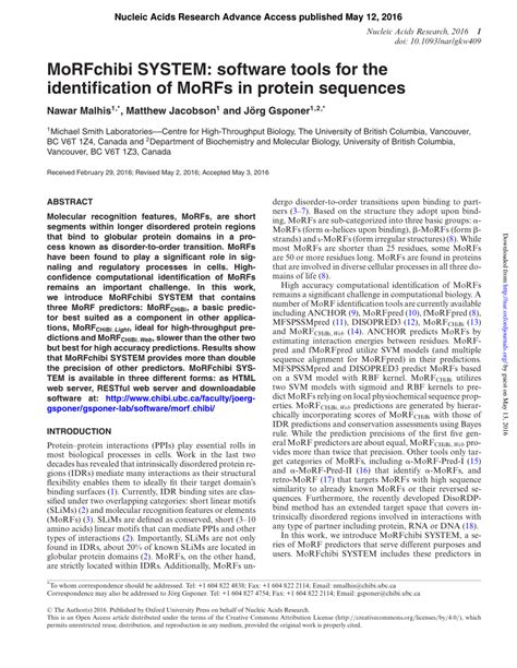 Pdf Morfchibi System Software Tools For The Identification Of Morfs In Protein Sequences