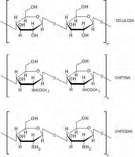 Structural Formula Of Cellulose Chitin And Chitosan Download