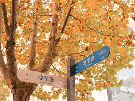 左右之间皆是风景 校园风光 郑州财经学院
