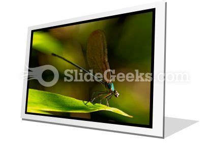 Insect PowerPoint Icon F