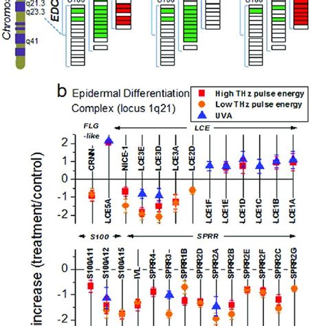 Differentially Expressed Epidermal Differentiation Complex Download Scientific Diagram