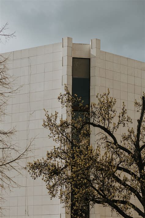 무료 사진 흰 대리석 벽이 있는 현대적인 건물