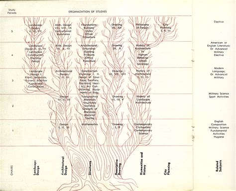Trees Of Design College Of Design