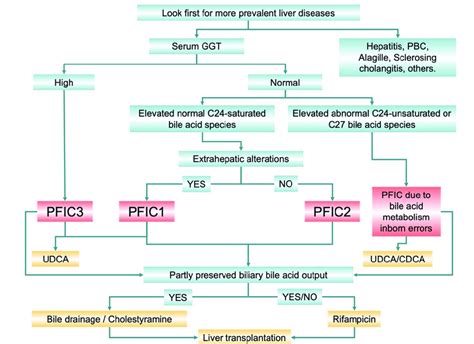Diagnostic Algorithm And Suggested Treatment Of Most Frequent Forms Of Download Scientific