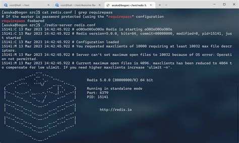 Redis安全攻防（专注渗透视角）lainwith Csdn博客