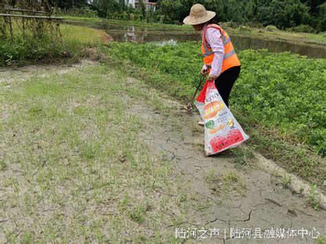 陆河要闻陆河县人民政府门户网站