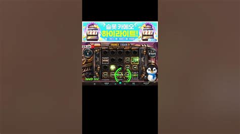 슬롯카메오 펭귄 머니트레인3에서 8814배 당첨 이게 잭팍이지~ 슬롯머신 슬롯 프라그마틱 잭팟 Slot Pragmatic Youtube