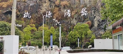 Ruian City On National Tree Day Cities4forests