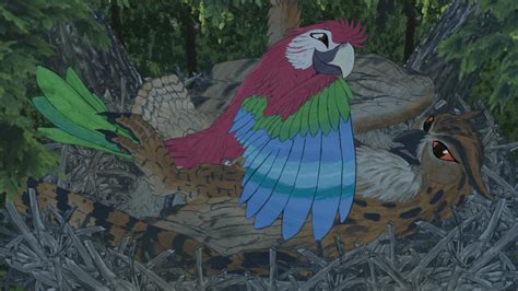 Rule 34 Animated Avian Barnibu Beak Bird Birdofgrain Blue Body Blue Feathers Bodily Fluids