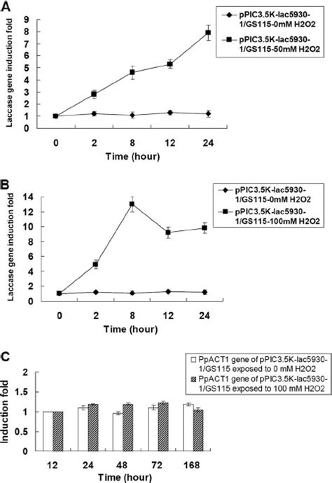 Quantitative Real Time RT PCR QRT PCR For Detecting The Transcrip Download Scientific Diagram