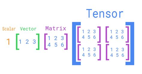 Numpy Reshape 1 Meaning