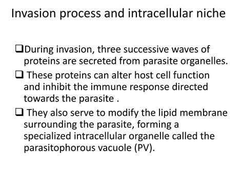 Pathogenisis And Clinical Picture Of Toxoplasmosis Pptx