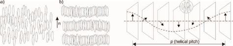 Diagram Of Molecule Arrangement In Liquid Download Scientific Diagram