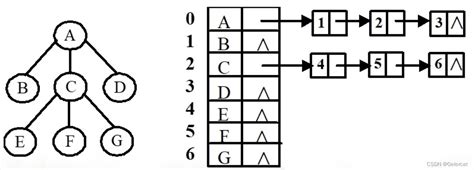 详解树、森林和二叉树二叉树森林 Csdn博客