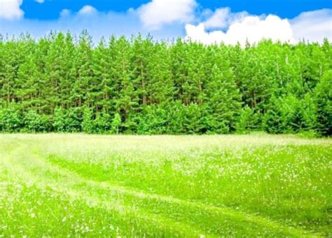 Купить земельный участок под ИЖС в Екатеринбурге продажа земли от собственника Земля 96