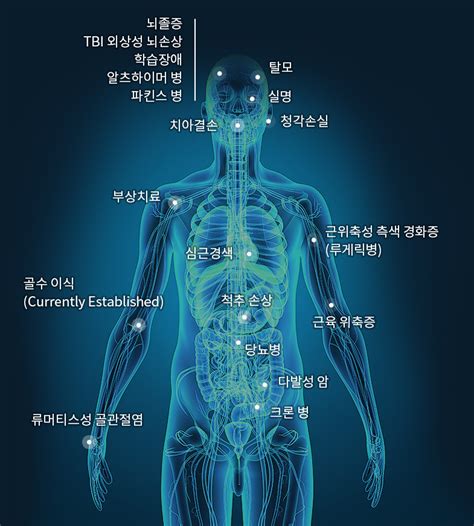 줄기세포란 줄기세포 N Biotek