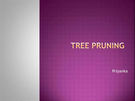 Tree Pruning Pptx