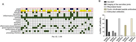 A Summary Of Asas Classification Criteria Evaluated In 44 Patients