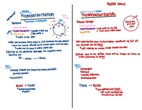 Hypo Polarization Vs Hyper Polarization Blood Space Shorter