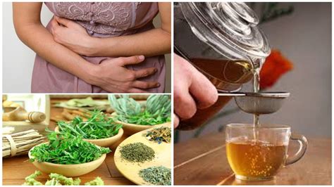 Травы от паразитов в организме человека широкого спектра действия