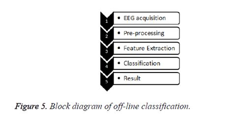 Classification Of EEG Signals For Wrist And Grip Movements Using Echo State Network