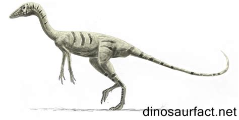 Compsognathus Dinosaur