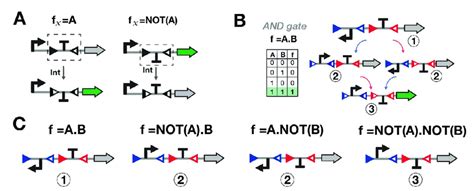 Implementation Of Np Equivalent Boolean Functions Using Inversion Based