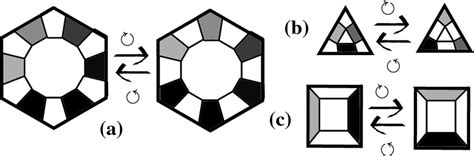 Rotation Between Brother T Locus Applied On An Integer Field Values Download Scientific