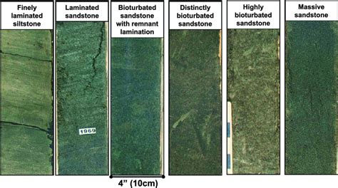 Examples Of Sedimentary Structures And Textures Visible In Core Download Scientific Diagram