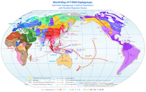 Haplogroup Map Y Dna V Mtdna Map Human Migration Indigenous Peoples Of The Americas