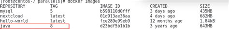 Docker学习之安装JDKTomcatMysql 阿里云开发者社区