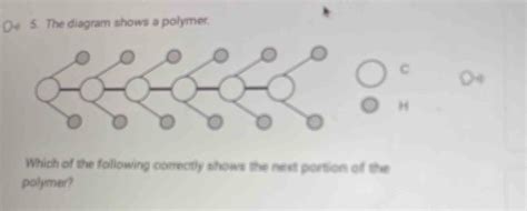 Solved 5 The Diagram Shows A Polymer C H Which Of The Following Correctly Shows The Next Por