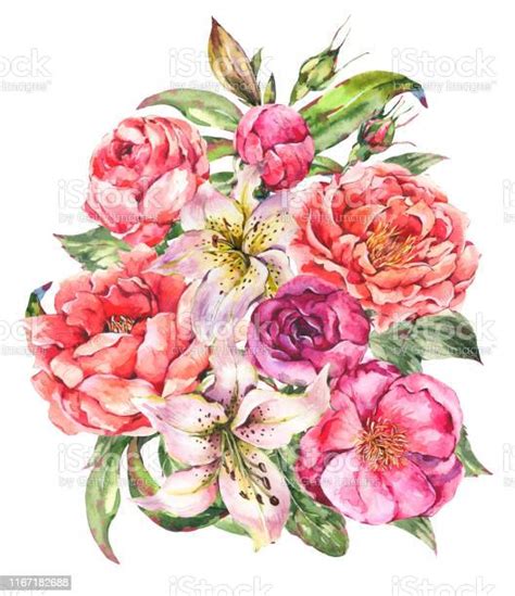 꽃이 피는 빈티지 수채화 인사말 카드 장미와 모란 화이트 로얄 백합 귀여운에 대한 스톡 벡터 아트 및 기타 이미지 귀여운 기념일 꽃 식물 Istock