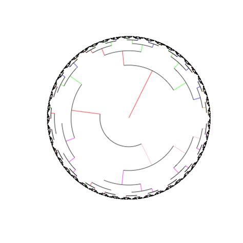 R Construct A Circular Phylogenetic Tree Stack Overflow