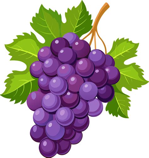 Más De 10 000 Vectores De Uvas Dibujo Y Uvas Gratis Pixabay