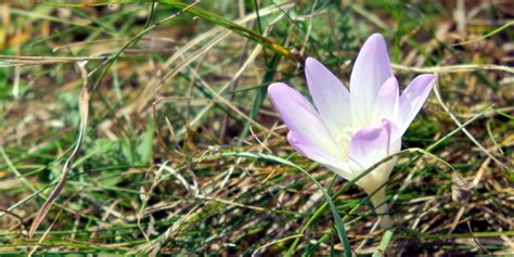 Handling Lists In Syslog Ng The In List Filter Blog Syslog Ng Community Syslog Ng Community