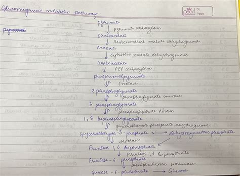 [solved] Can You Draw A Metabolic Map With All Glucose Metabolic Pathways Course Hero