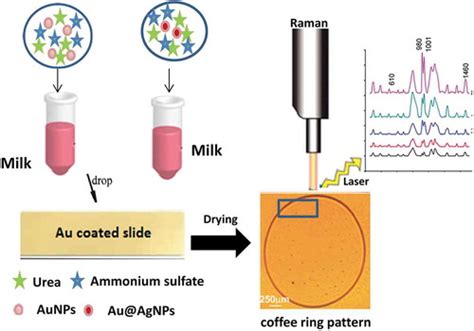 Sers Detection Of Urea And Ammonium Sulfate Adulterants In Milk With