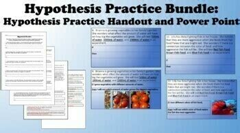Hypothesis Practice Bundle Babe Handout Power Point Work Answer Key