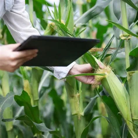 Mobile Soil Analysis ChrysaLabs