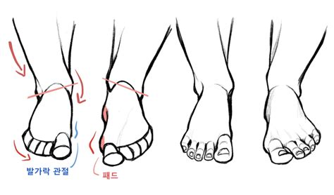 구조를 이해하면서 그린다 손과 발 그리기 강좌 그림 꿀팁사전