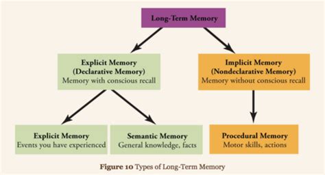 chapter 6 memory flashcards quizlet