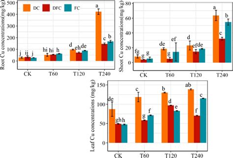 Cu Concentrations In Plant Tissues Under Different Water Conditions